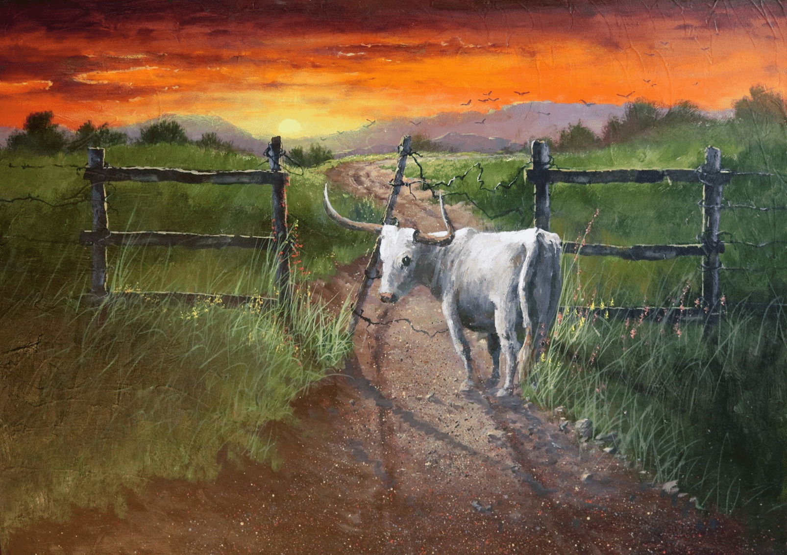 Tutorials Archive | Yarnell School